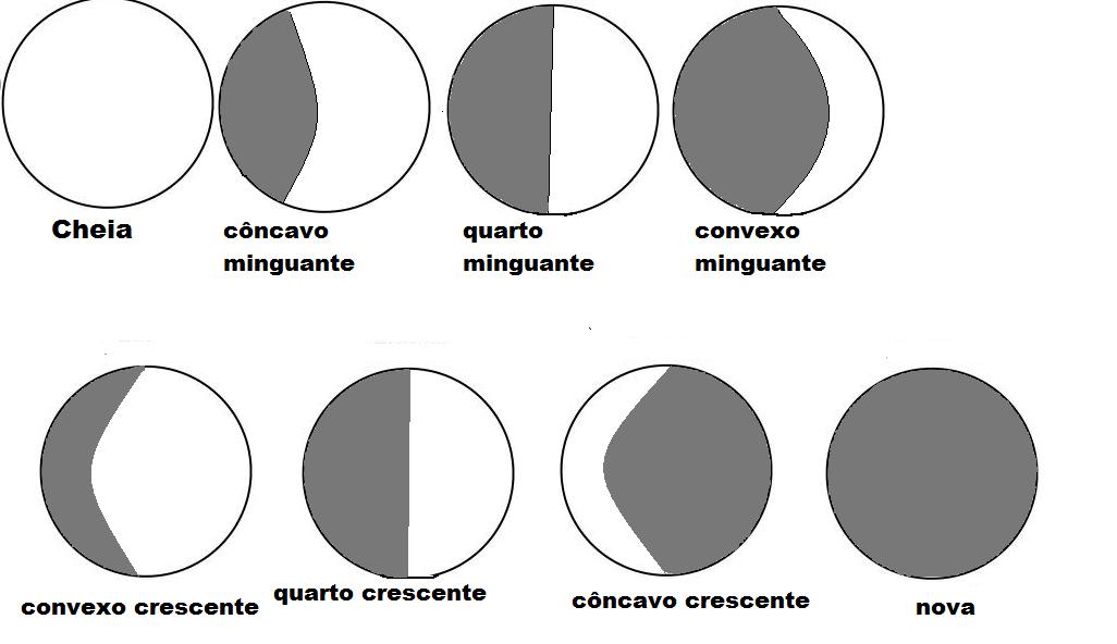 Educação Infantil Betim: Fases da lua