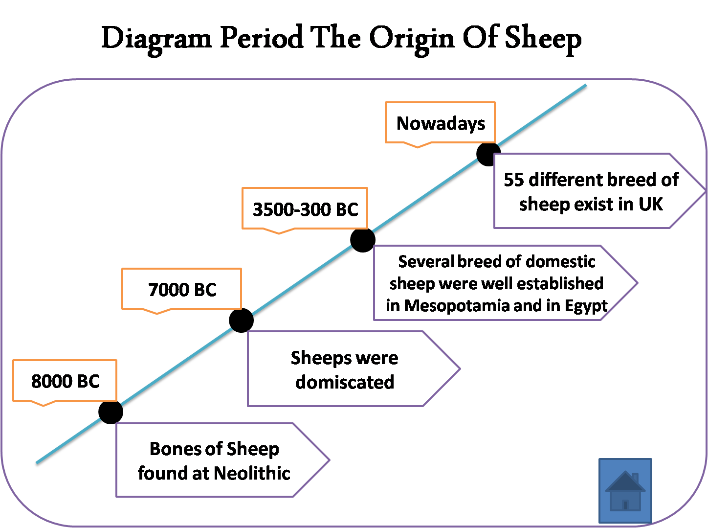 Animal Science and Technology: Meat Science "the origin of meat and ...