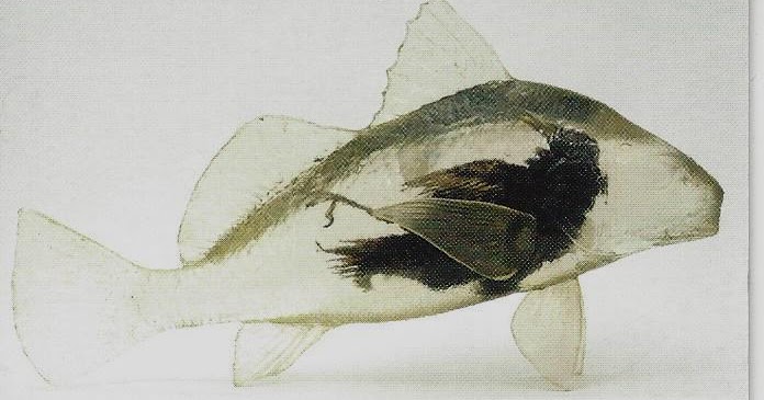 Green Collar Living in the Mountain State: Good Energy: Nik Botkin's ...