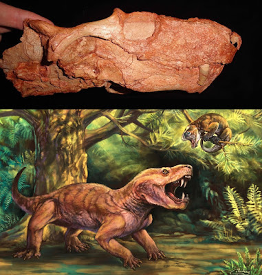 Species New to Science: [Paleontology • 2018] Gorynychus masyutinae • A ...