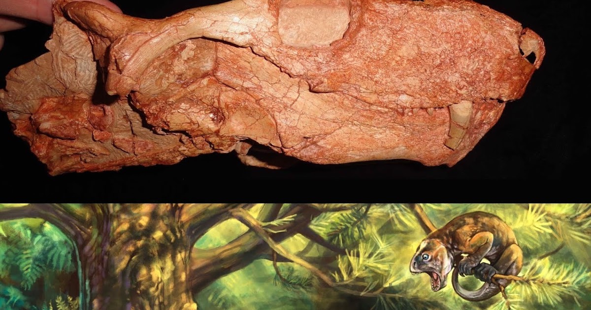 Species New to Science: [Paleontology • 2018] Gorynychus masyutinae • A ...