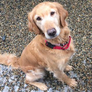 The Blog of Bryan C. Laesch: 7 Secrets You Should Know About Dating An ...