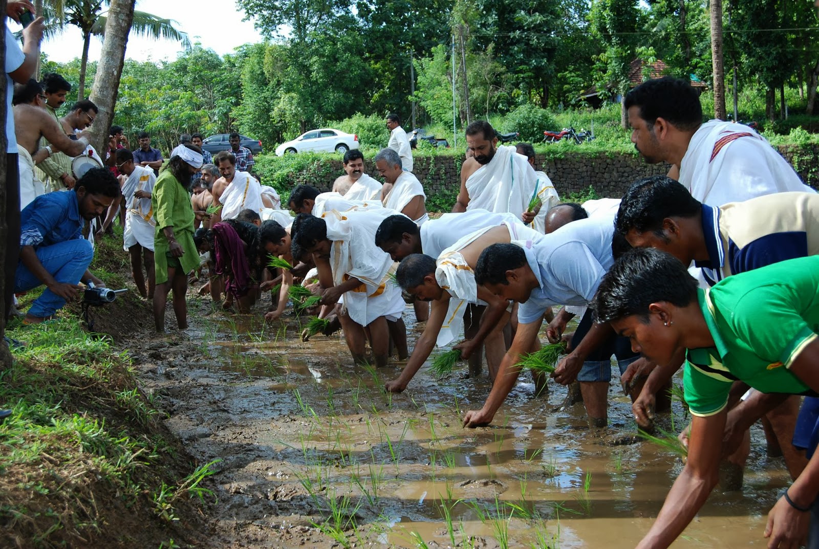 SOMAYAGAM BY KASYAPA AASHRAMAM: SAPLING PLANTING CEREMONY CONDUCTED ON ...