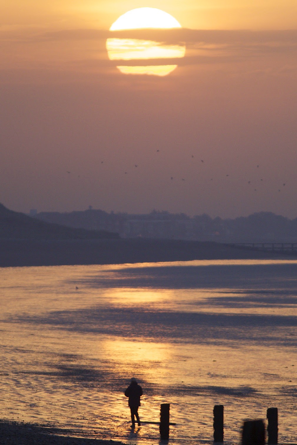 Harry Ramm's Birding Blog