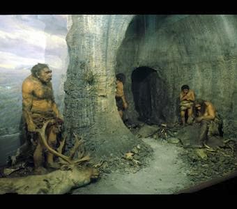 What happens when a non-accredited paleontology fan blogs: Documentary ...