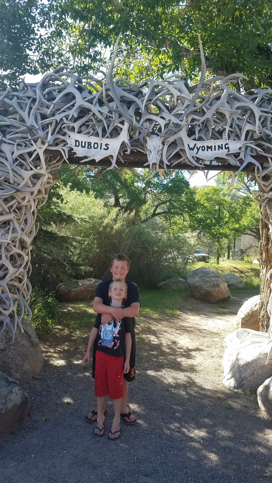 The Nellenbach Update