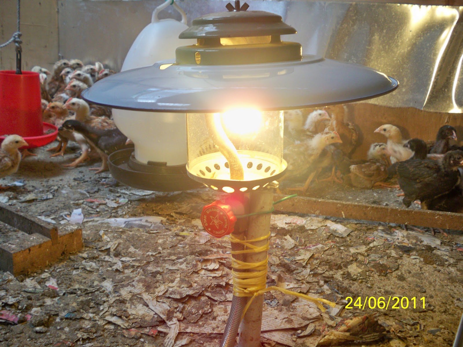 Lampu Pemanas Ayam - Perumperindo.co.id