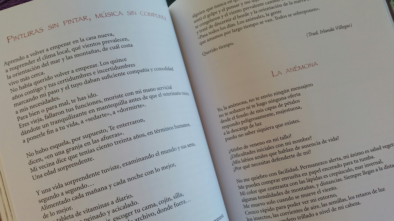 An Angel @ My Blog: Janet Frame poems in Spanish journal