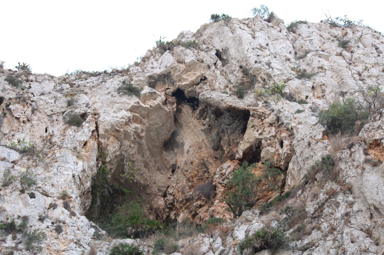 Historia y Genealogía: Parque Natural del Mongó. Denia, Alicante
