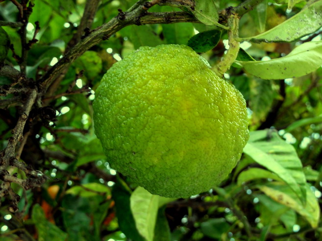 Fotografías, filatelia, numismática y vídeos del canal Ramón Palmeral ...