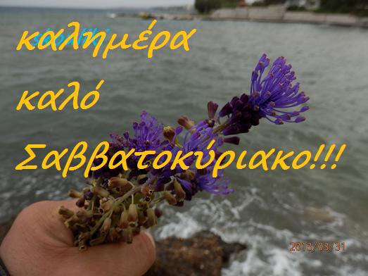 ΟΝΕΙΡΕΜEΝΑ ΧΡΟΝΙA: Καλημέρα!!!! καλό Σαββατοκύριακο!!!