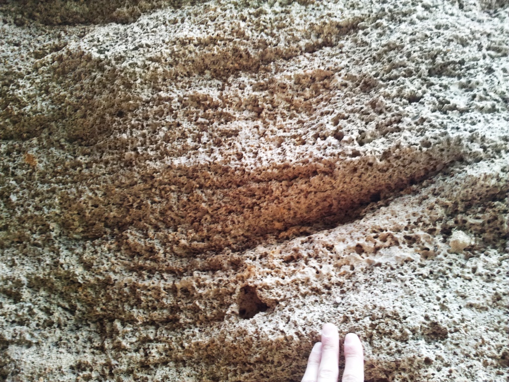 La molasa de Montesa. Una historia del Neógeno : Aventuras geológicas ...