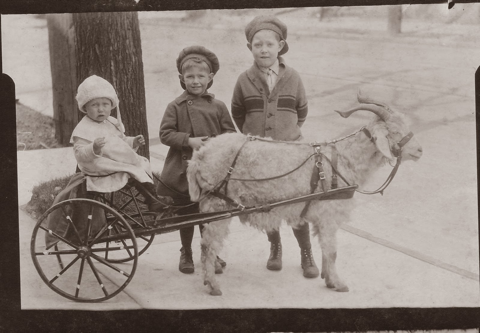 What's My Lineage? Confessions of a Lineage Group Junkie: January 2014