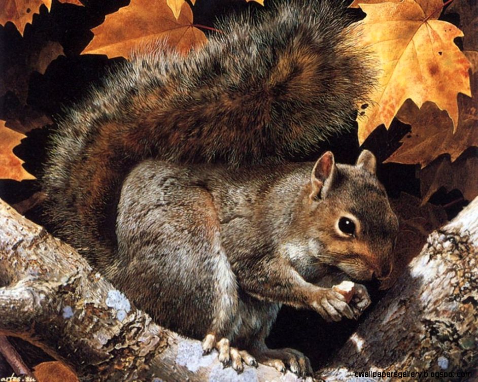 Autumn Forest Animals | Wallpapers Gallery