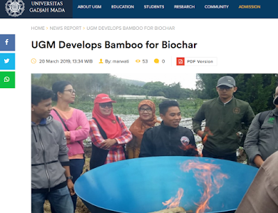 Biochar Interest Group - South East Asia (BIG-SEA)