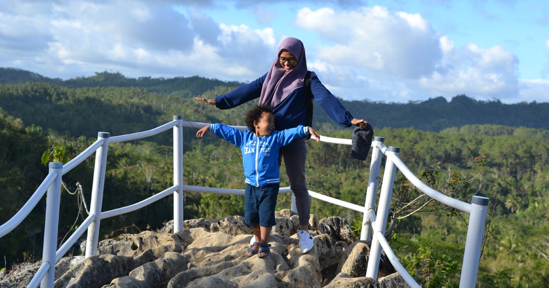 Hutan Pinus Kalilo Menikmati keindahan Hutan Pinus Di Purworejo - Wisata ku