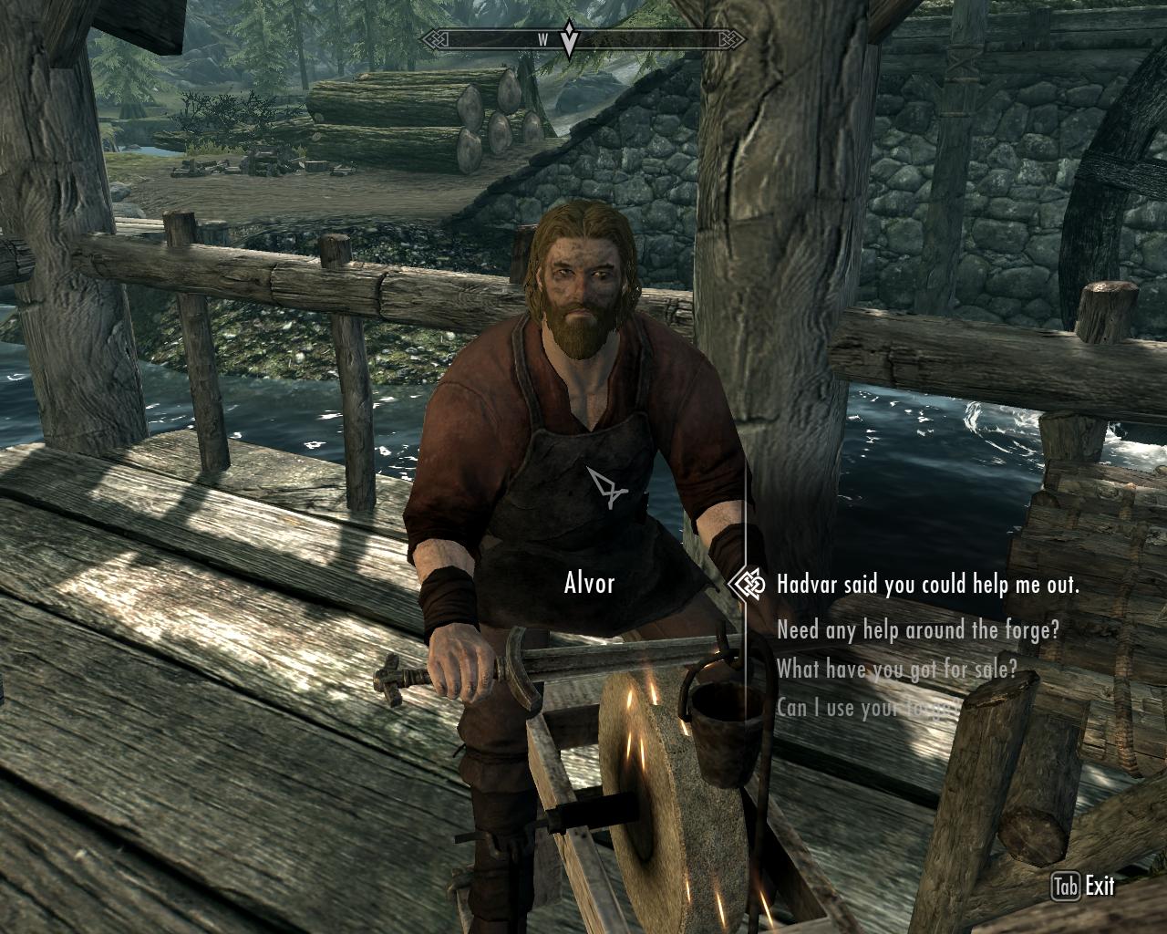 Skyrim - Heroes' Journals