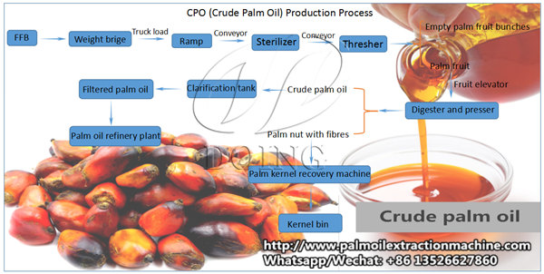 palm oil equipment manufacturing, exports and sales: How to extract ...