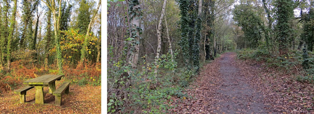 sconzani: Cheshire walks: Shakerley Mere