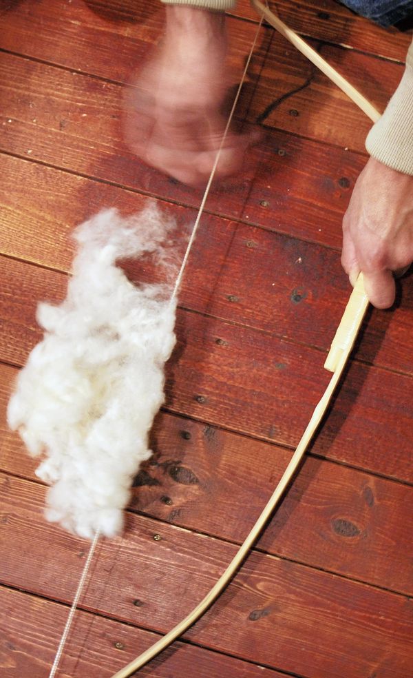 HeartSong Studio: My Study of Cotton