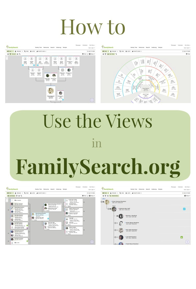 How To Use the Views in FamilySearch.org