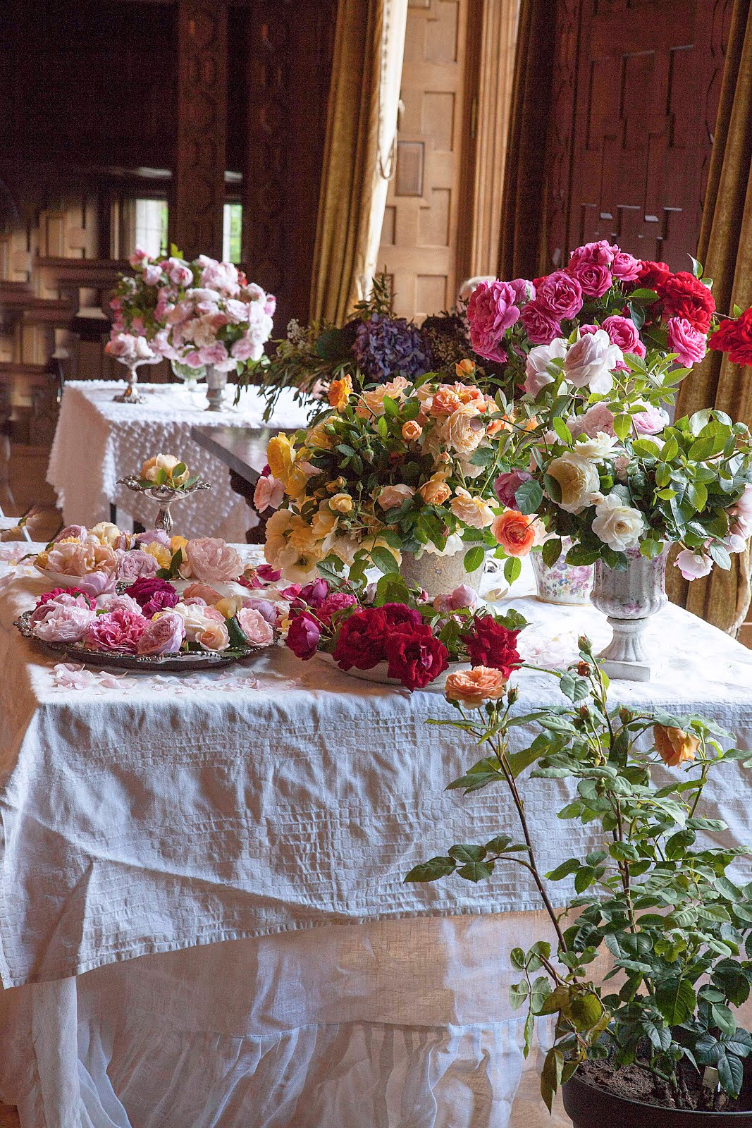 ROSE GARDEN Malevik: klätt om två gamla nollstolar ~ new makeover with ...