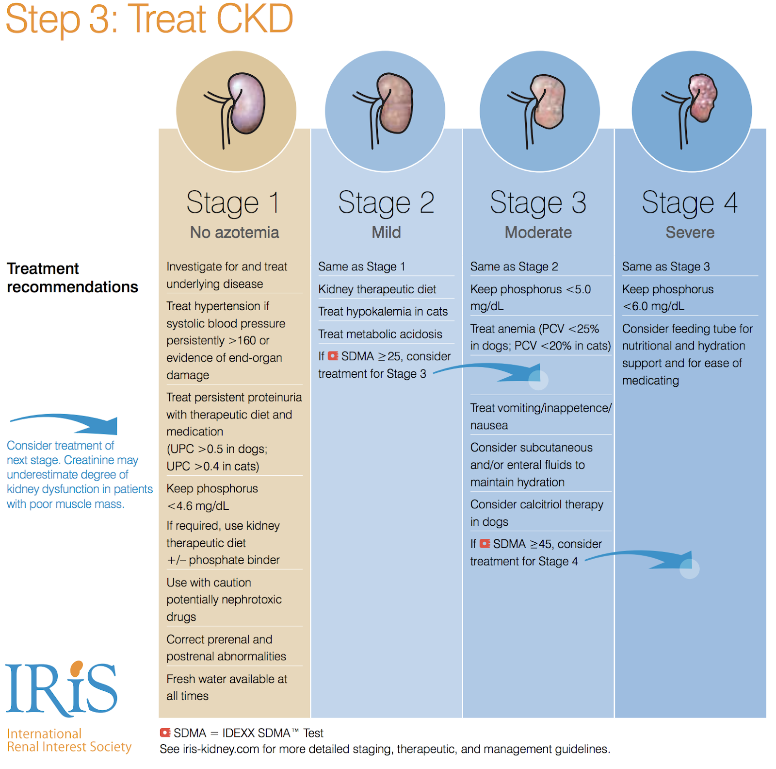 犬貓慢性腎病分級（IRIS CKD分級指引簡介）
