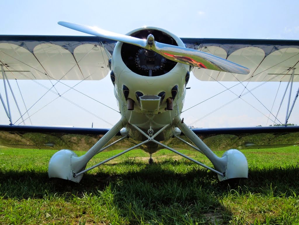 Photographic Logbook: The Greatest Show on Turf, 2014