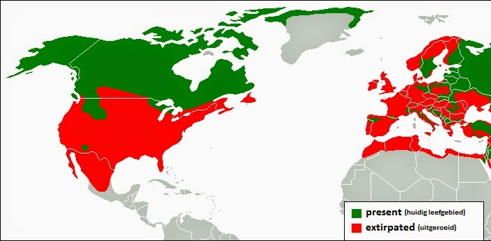 Where Do Wolves Live In The World Map - United States Map