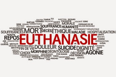 L'euthanasie: Accueil