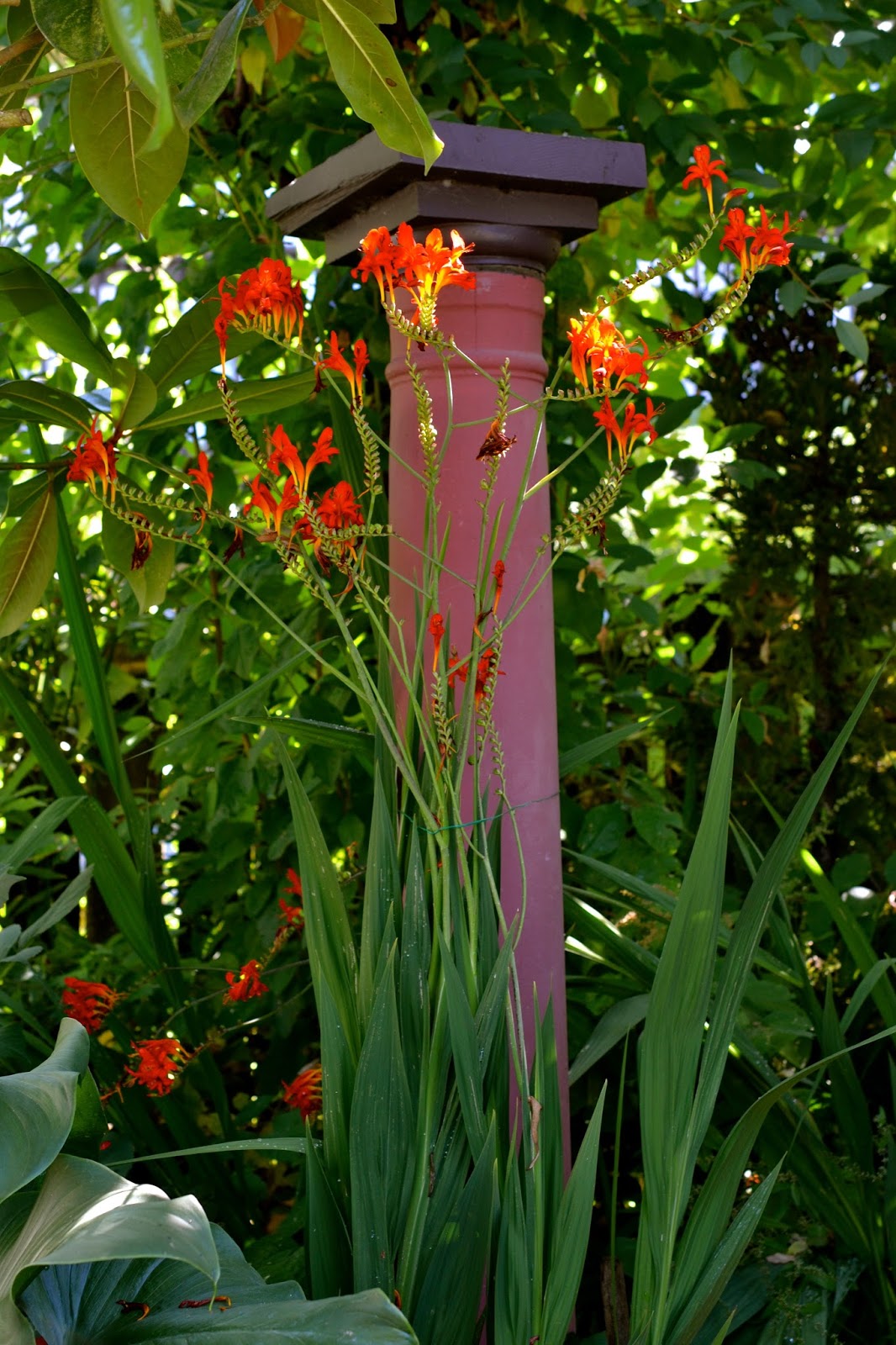 Bonney Lassie: Some Florid Prose. Pictures Too.