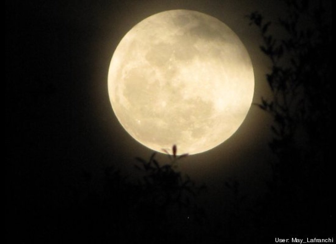 White Wolf : Spectacular Supermoon Snapshots From Around The World ...