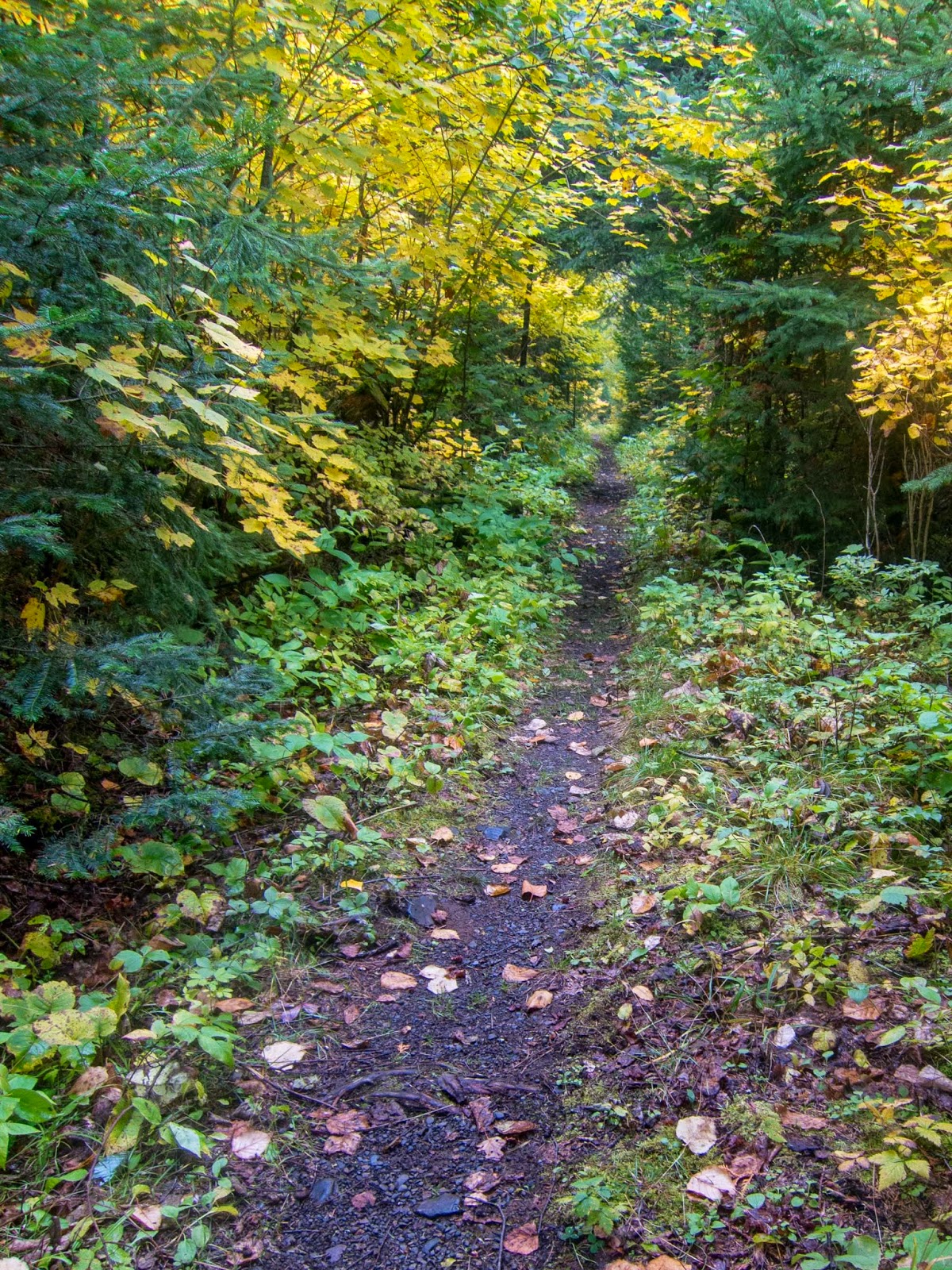 Eric's Hikes: Border Route Trail Thru-hike 2014