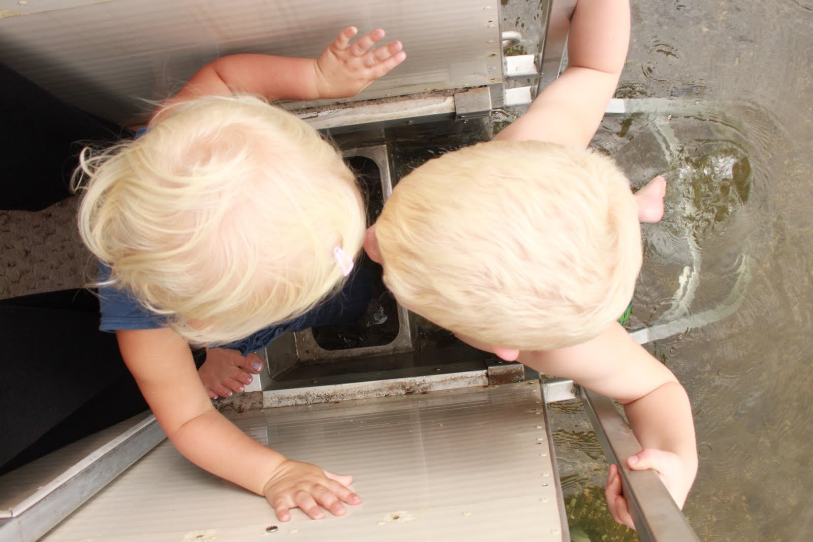 {the hoversons}: towheads