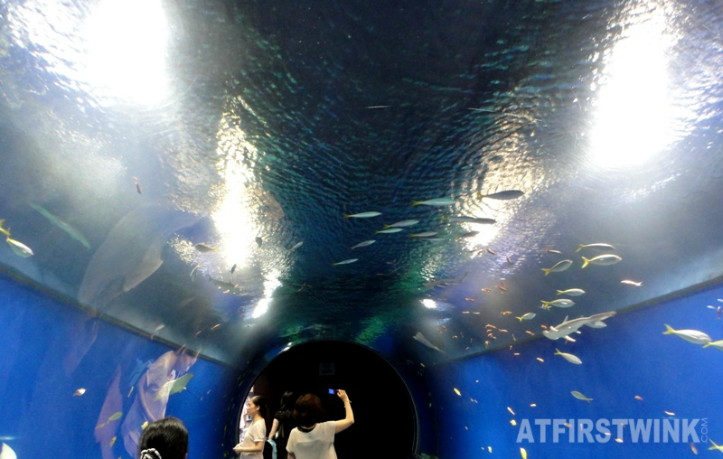 A tour inside Osaka Aquarium Kaiyukan - part 1