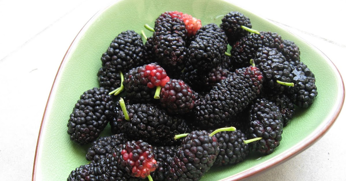 TOZALI: Amazing Health Benefits of Mulberries