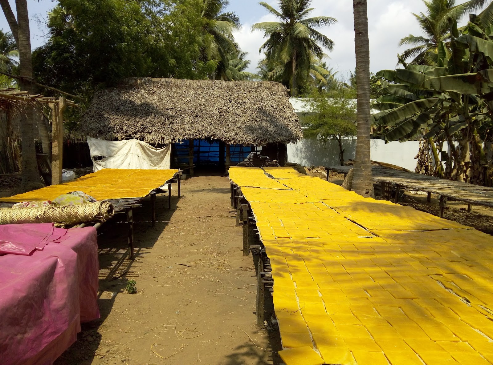 గోదావరి: శ్రేష్టమైన మామిడి తాండ్ర