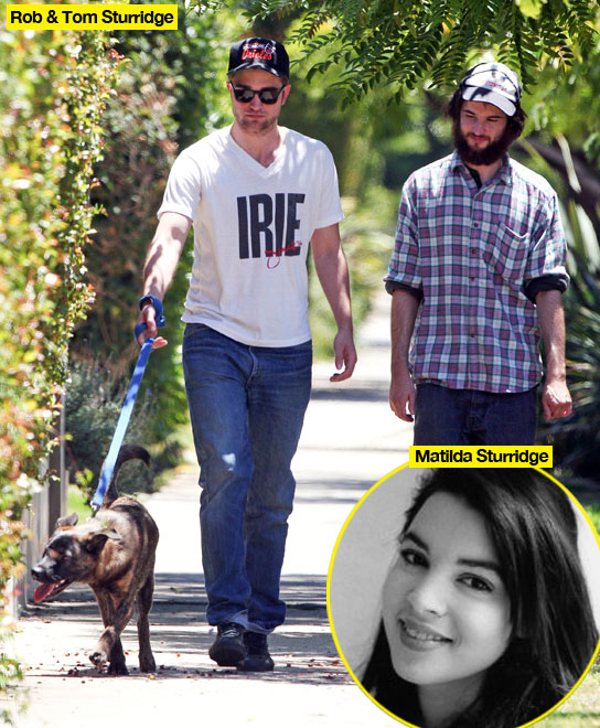 Tom Sturridge Twilight