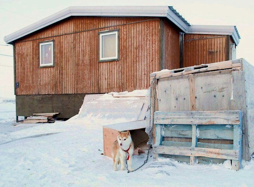O LIVRO DE AREIA: Ulukhaktok (Holman), aldeia inuit com arte na llha de ...