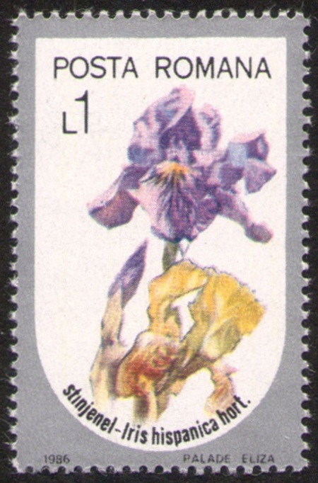 Timbre filatelice: Timbre filatelice cu flori din Romania