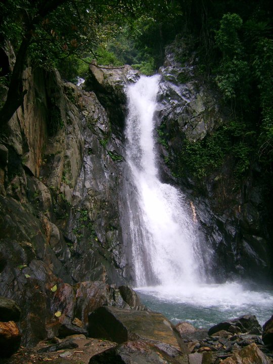 AS SEEN ON TV By Stanley Palisada