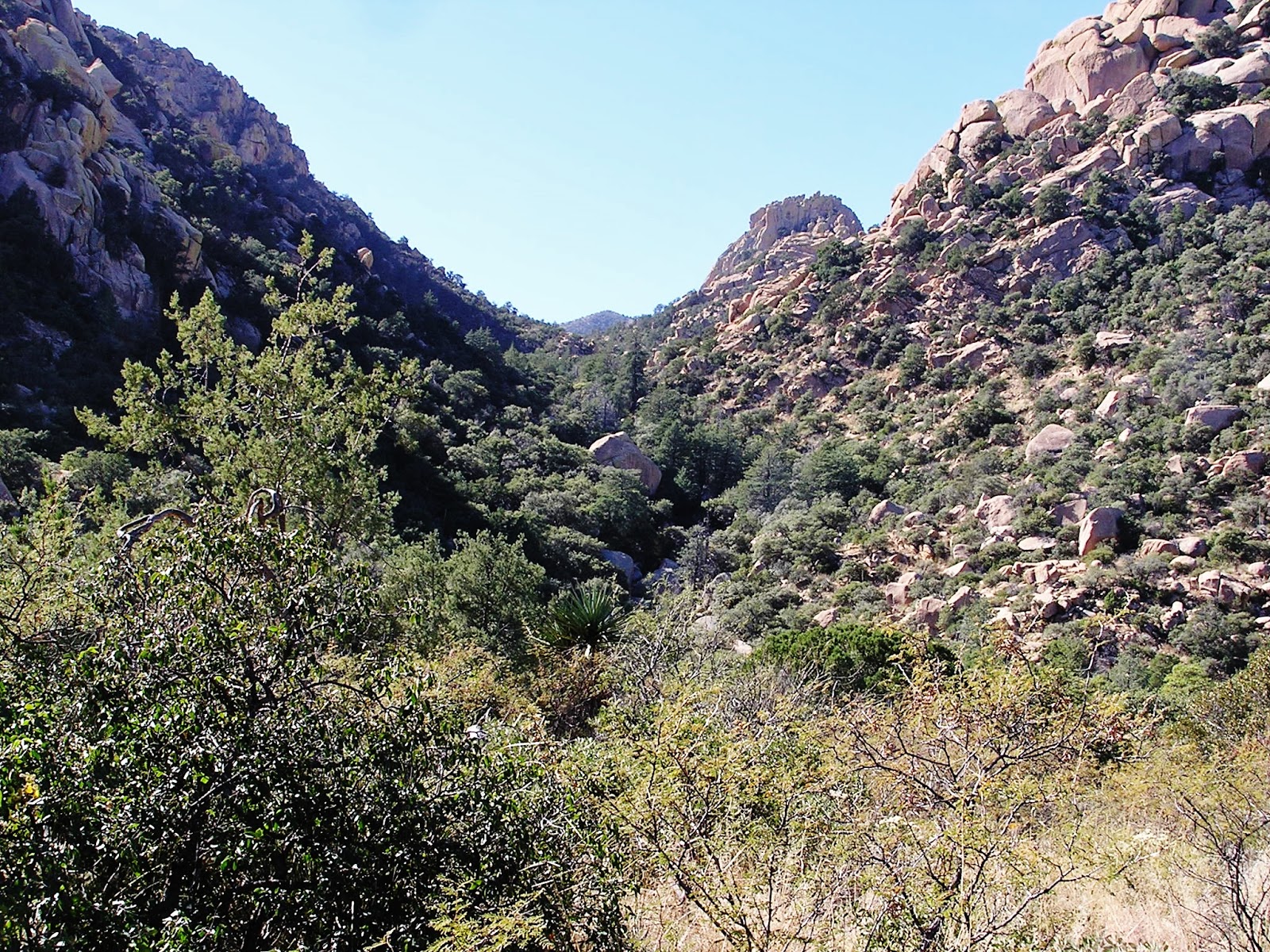 All The Good Names Were Taken: Coronado National Forest: Cochise Stronghold