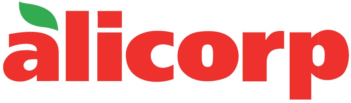 Elmer Ego: La Empresa