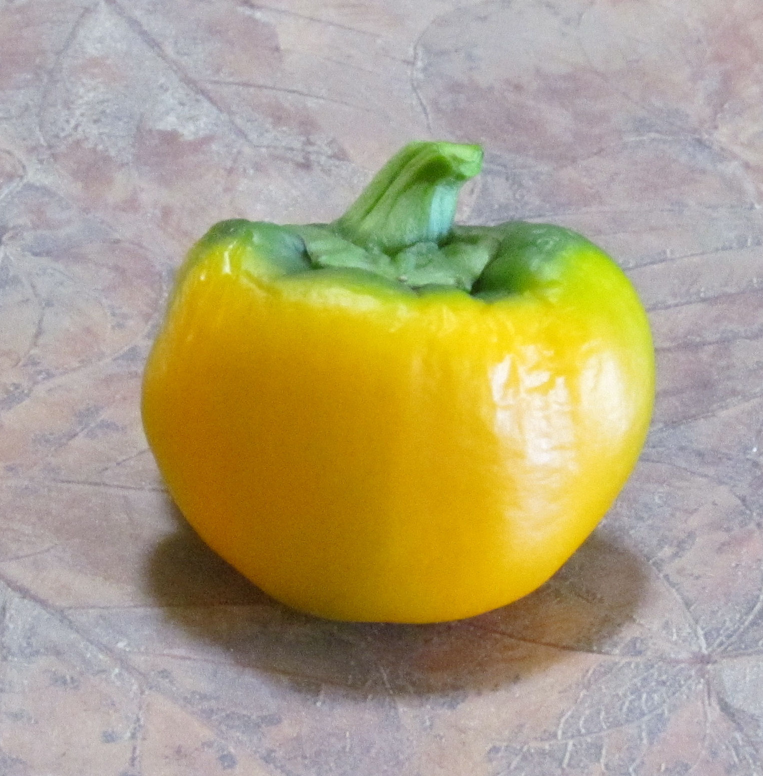 Foto Blog Puerto Rico: Hidroponia Pimientos Morrones 4