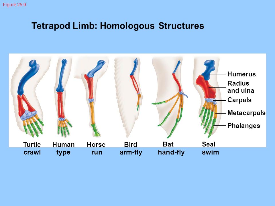 Discovering Darwin: 2016