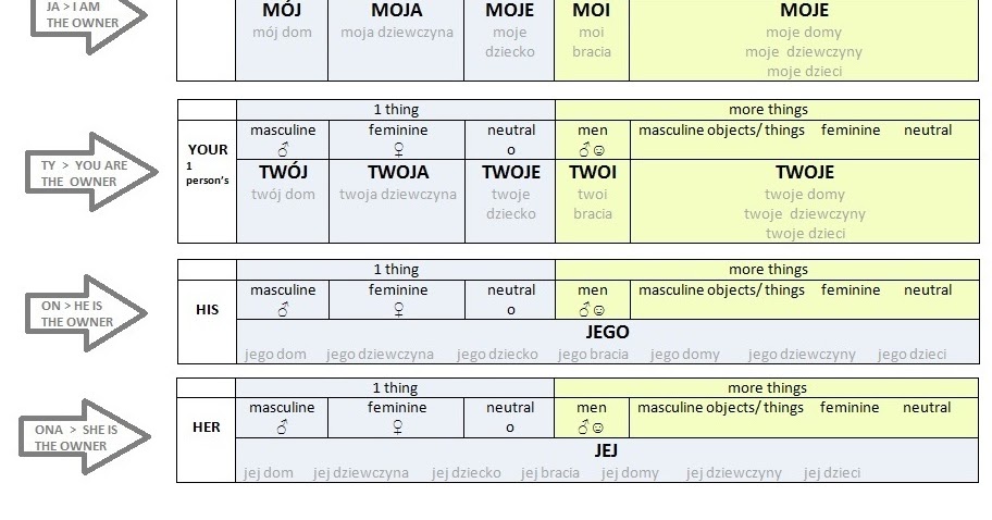 Learn Polish online for free: 43. Possessive pronouns my - mój / moja ...