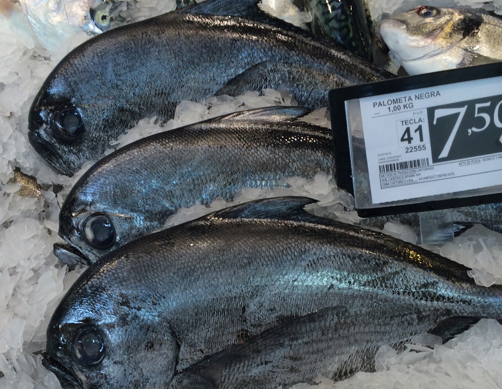 John's Blog: RAY'S BREAM - JAPUTA