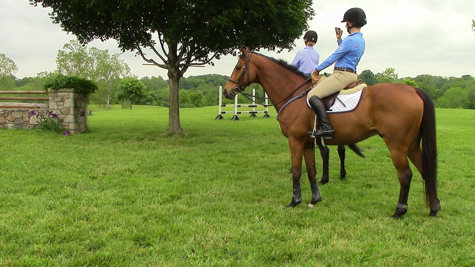 War Horse: The Legends Series: Joe Fargis