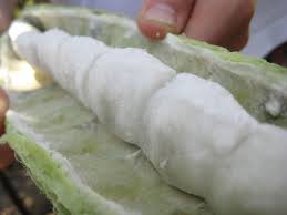 Pulpa de pacae: El pacae y sus beneficios