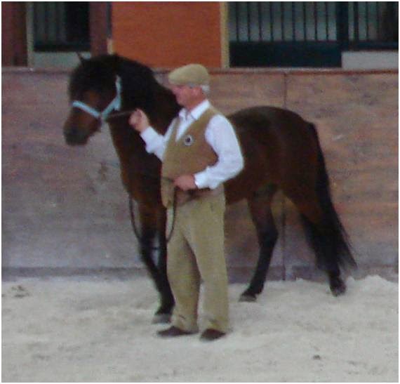 O CABALO DE PURA RAZA GALEGA / THE GALICIAN HORSE BREED / LE CHEVAL DE ...